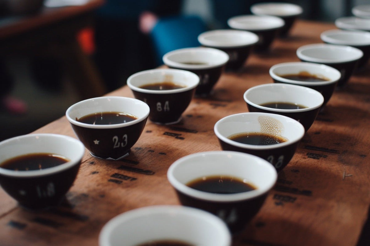 The Art of Coffee Cupping: A Guide for Evaluating Coffee Quality – US Roast