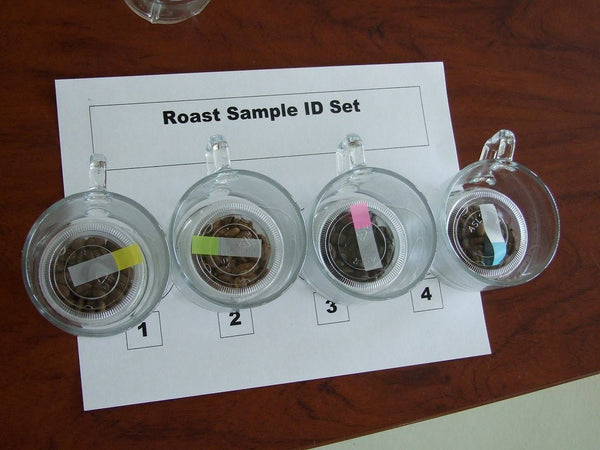 What is a Q-Grader? by US Roast